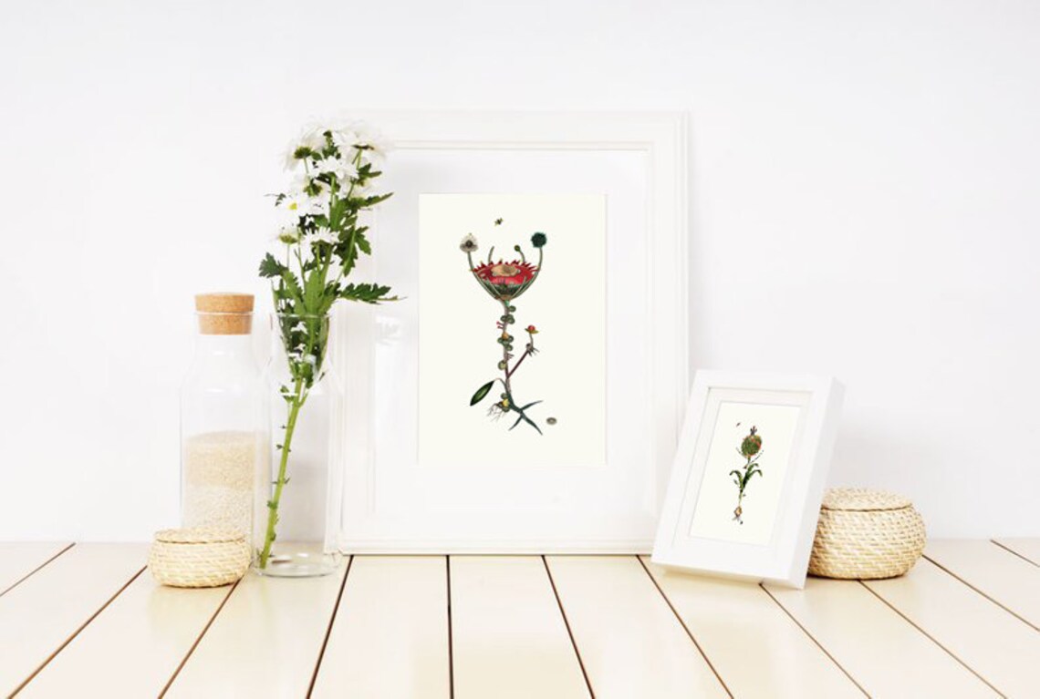 Plant Poster. Illustration Collage. Botanical Print - Herbarium ...