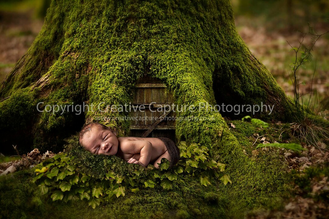 2 Newborn Digital Backdrops / Backgrounds / Woods / Spring / Summer ...