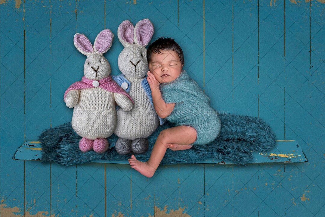 Newborn Digital Backdrop / Background / Peter Rabbit Inspired / Shelf ...