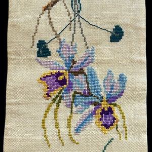 Beautiful Cattleya Orchids Hummingbird Birds Art. Cattleyas Vintage ...