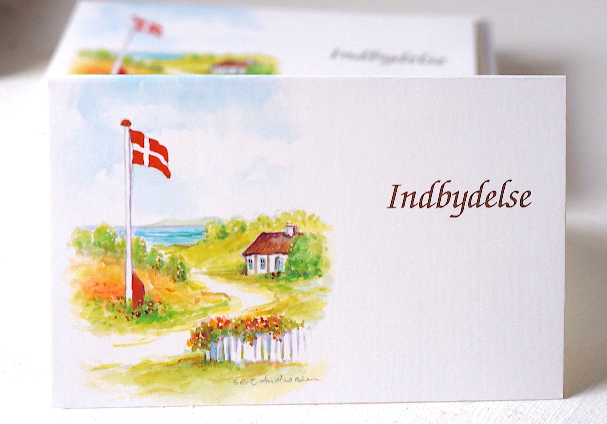 Party or Social Invitation indbydelse Vintage - Etsy