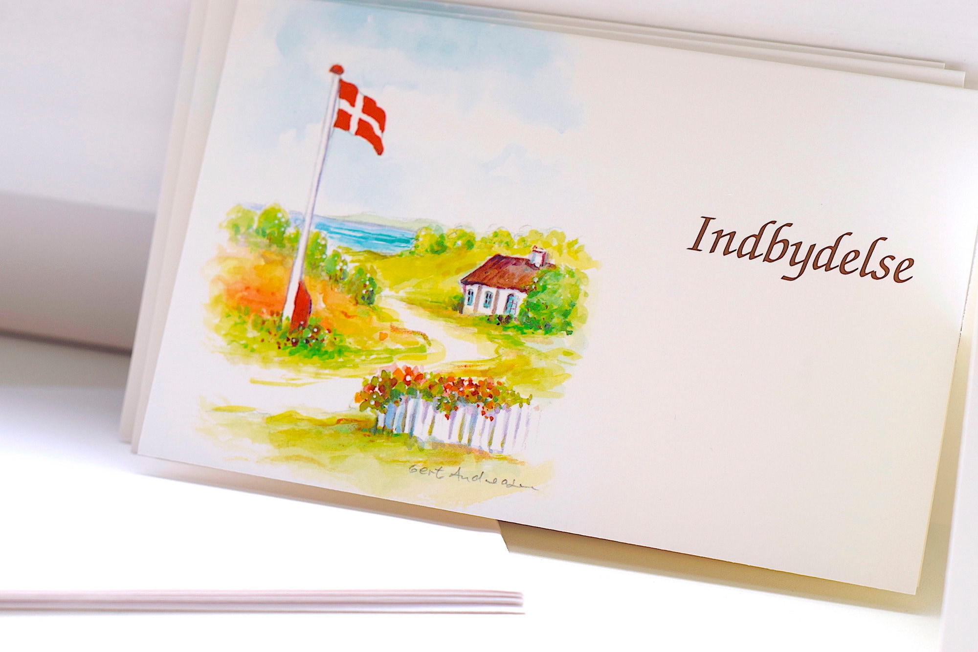Party or Social Invitation indbydelse Vintage - Etsy