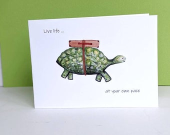 Happy Birthday Tortoise - Etsy