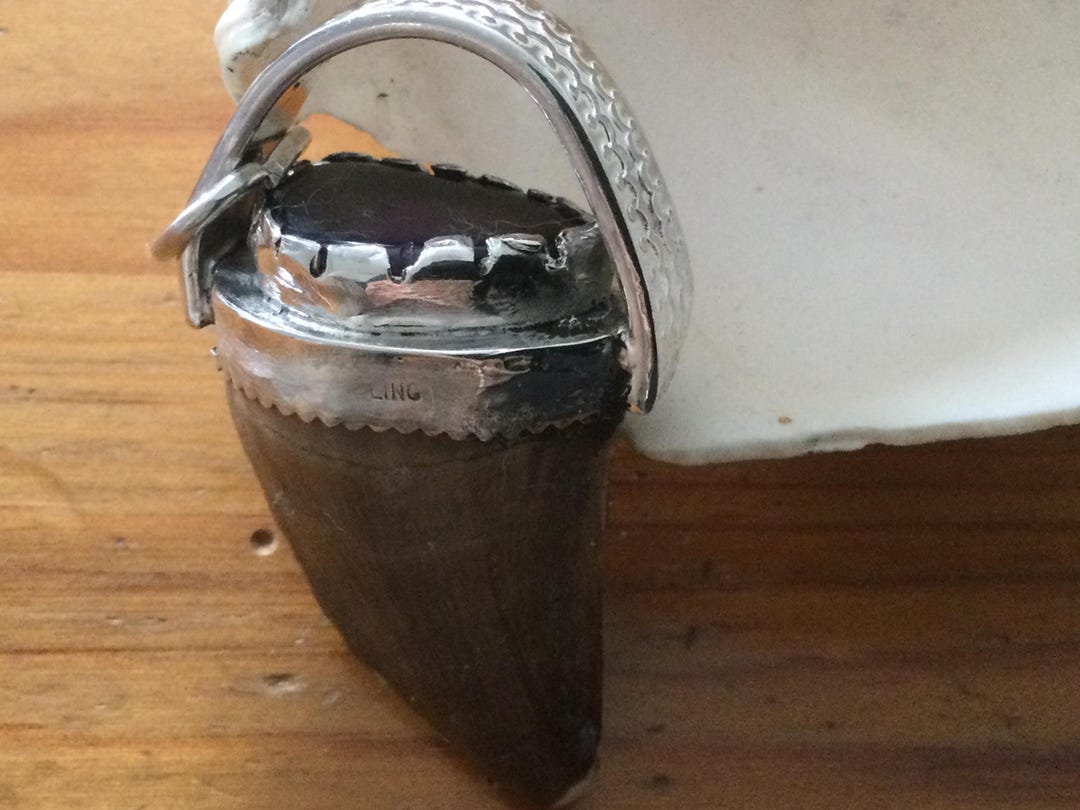 Dinosaur Tooth Pendant - Etsy
