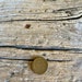 1954 US Penny / Mis-struck / Error / S Coin / Liberty Goof / - Etsy