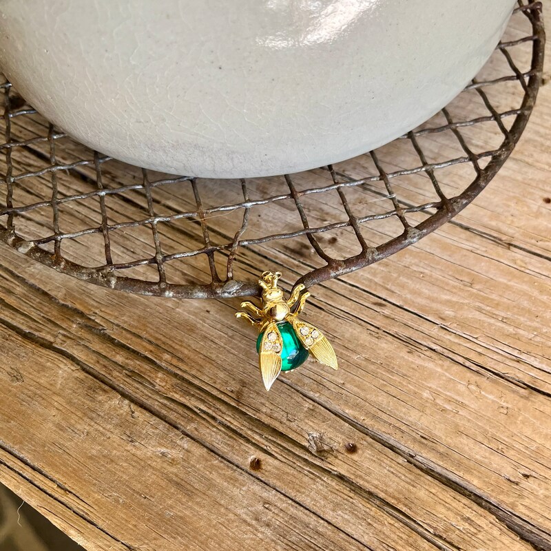 Insects in Lucite - Etsy