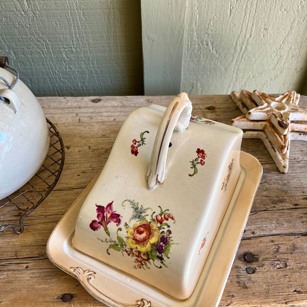 Cheese Cloche - Etsy