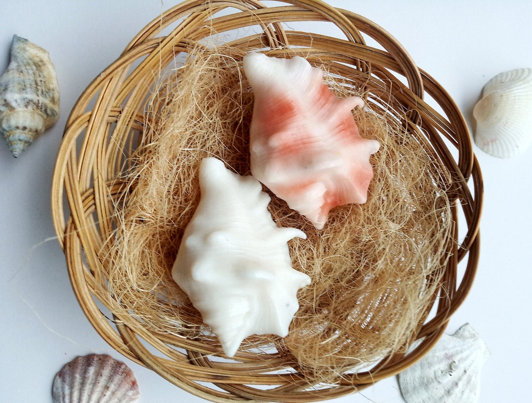 Mini Sea Conch Shaped Soaps, Realistic Color Sea Shell Soaps ...