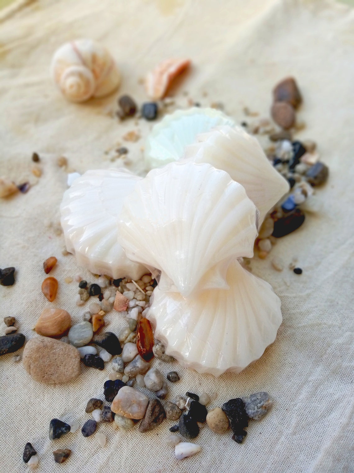 Mini Clam Soaps Sea Shell Soaps Clam Soaps Bulk Nautical | Etsy