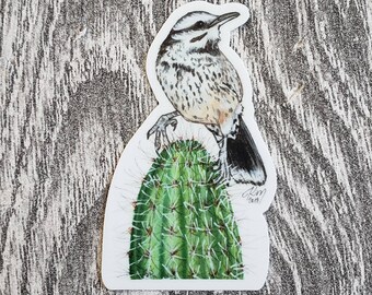 Cactus Wren | Etsy