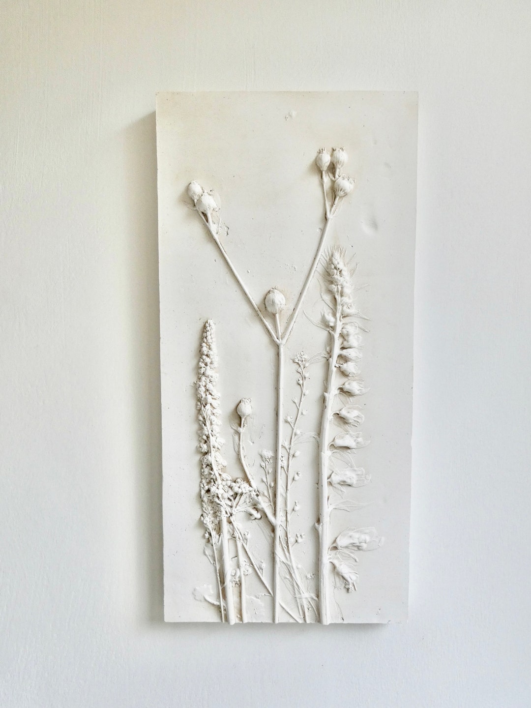 Botanical Plaster Relief Foxgloves Campion Cow Parsley - Etsy