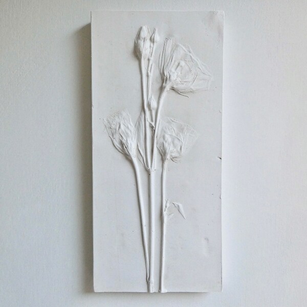 Botanical Plaster Casts - Etsy