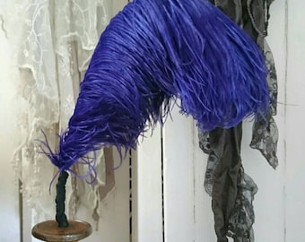 Feather display | Etsy