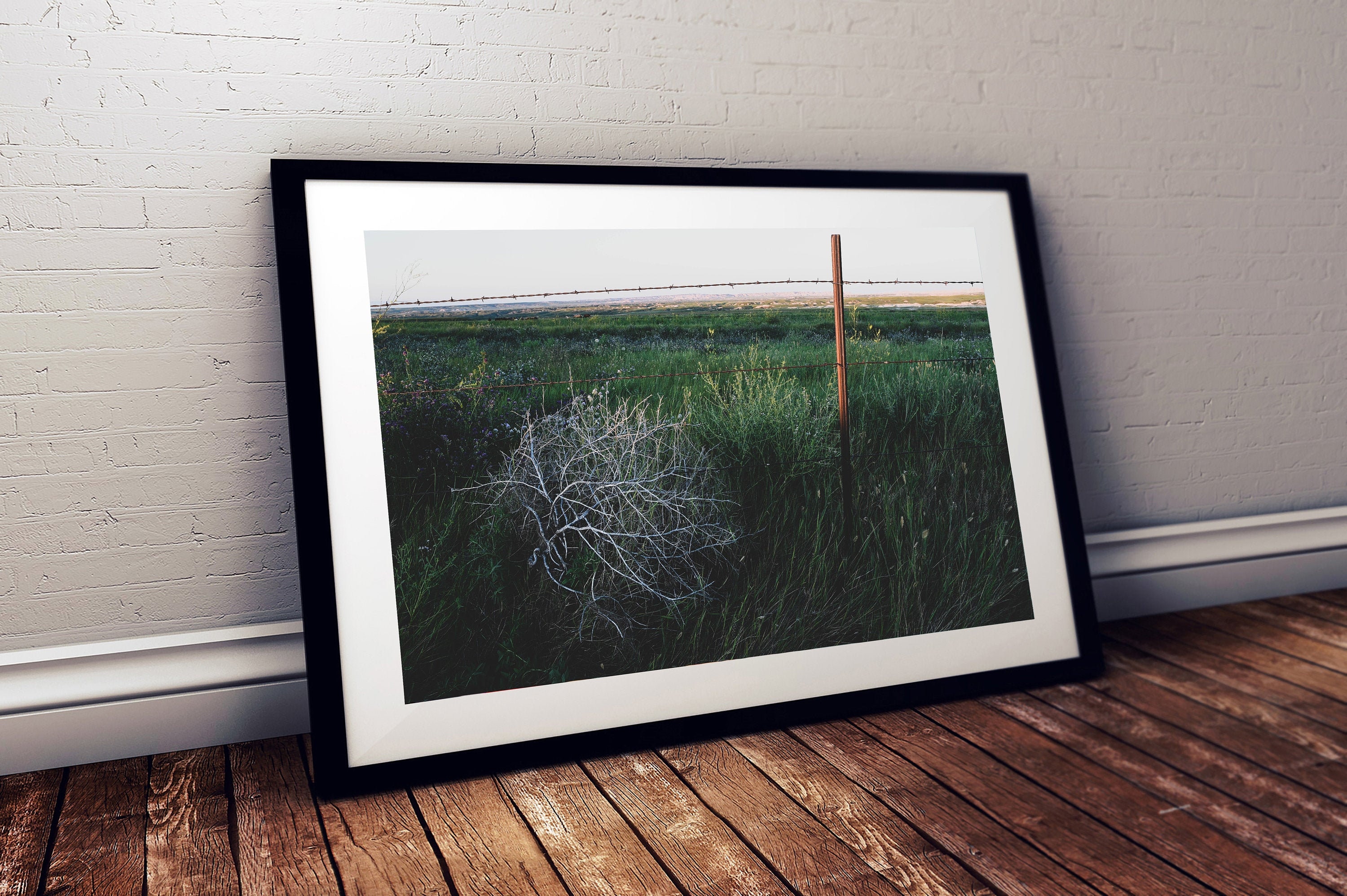 Tumbleweed, Badlands, South Dakota-photo of a Tumbleweed Trying to Find ...