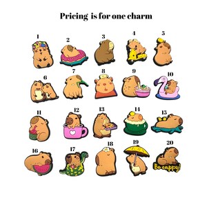Capybara Shoe Charms | Cute Capybara | Capybara | Clog Charms for Kids ...