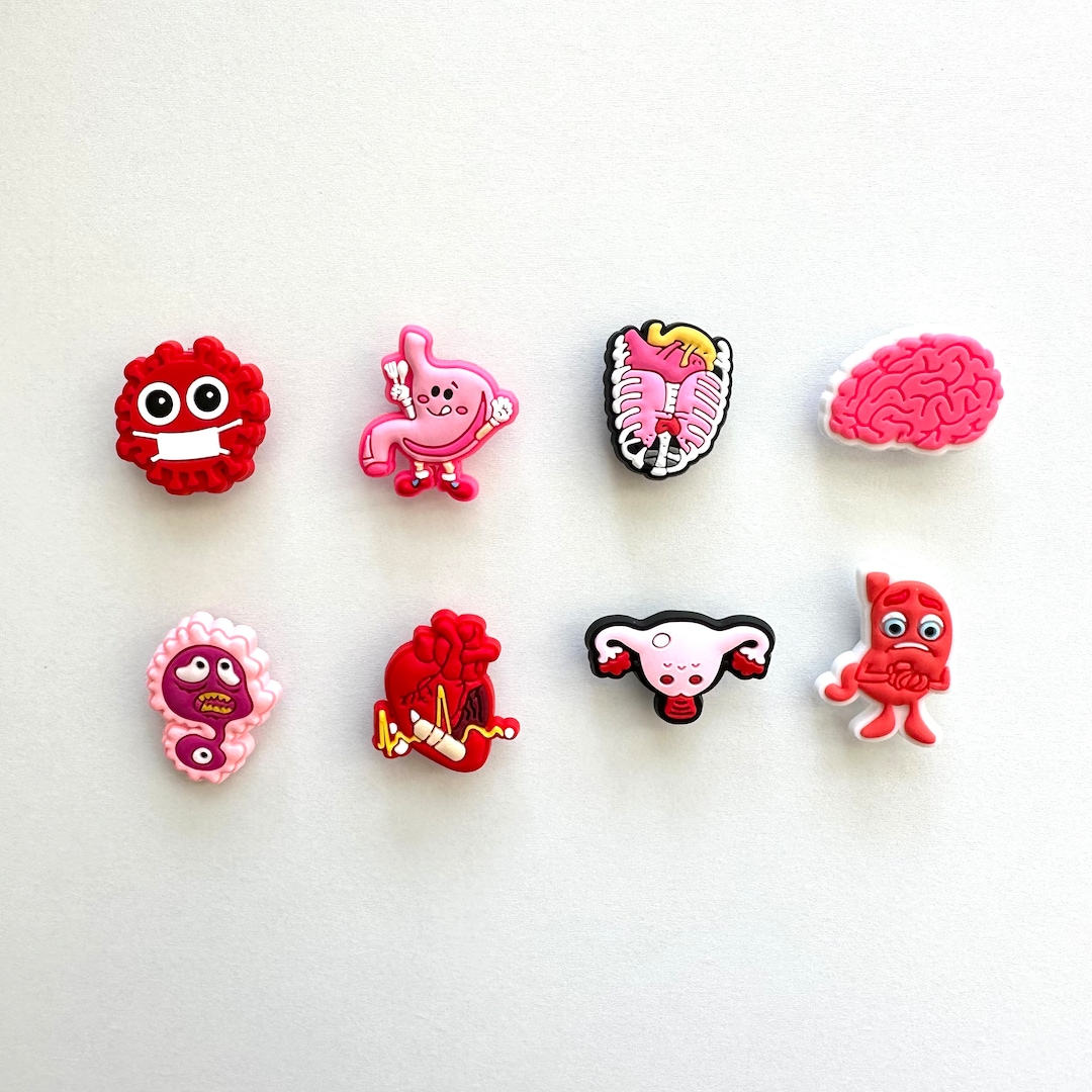 Anatomy Shoe Charm | Organ Charm | Brain | Stomach | Ovaries| Gift ...