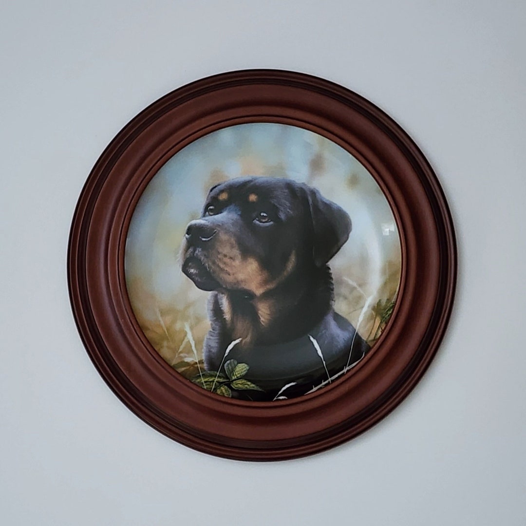 Rottweiler Framed Collector Plate Danbury Mint "spirit of Loyalty" by ...