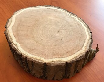 Large Wood Slices Thick Wood Disks Wood Slab Centerpiece | Etsy