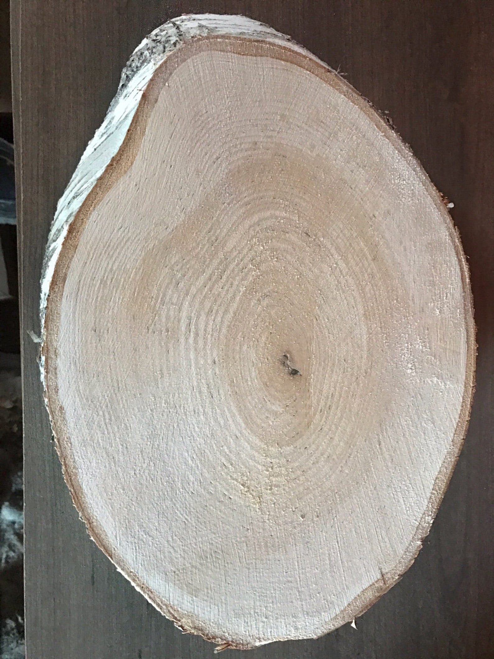 Oblong Birch Slabs, Irregular Slabs, Discount Wood Disks, Birch Unique ...