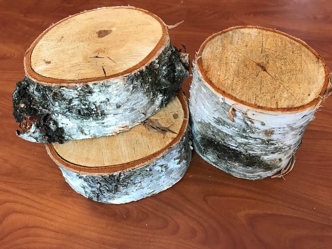 Rustic Wedding Birch Slabs, Thick Tree Slices, Extra Thick Wood Slab ...
