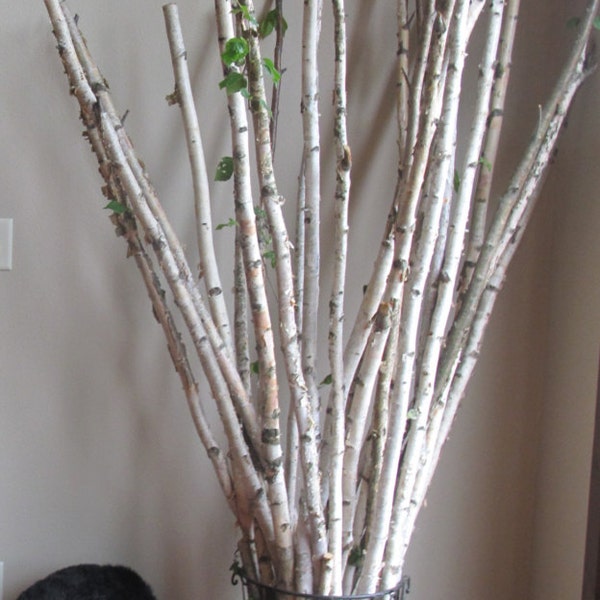 Birch Tree Decor - Etsy