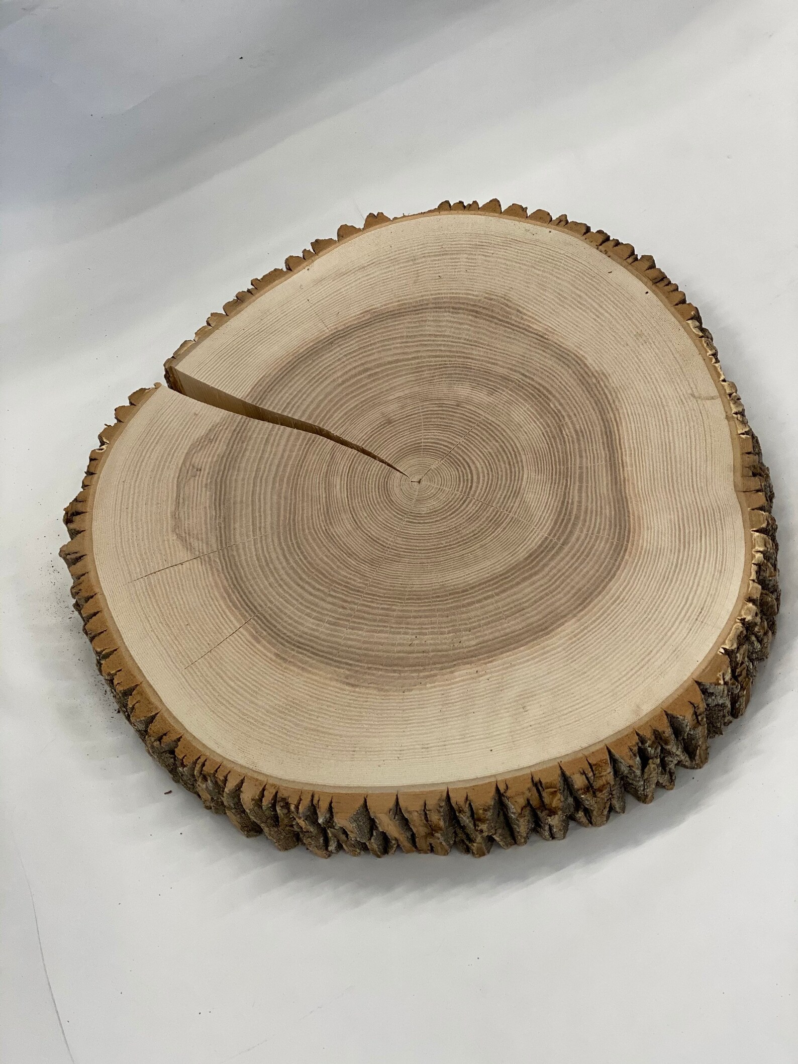 1819 Extra Large Wood Slices Thick Wood Disks - Etsy