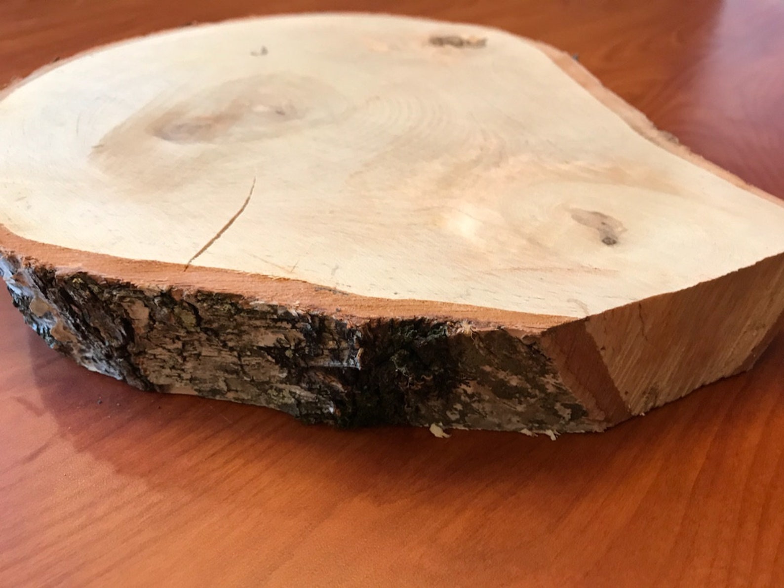 Oblong Birch Slabs Irregular Slabs Discount Wood Disks - Etsy
