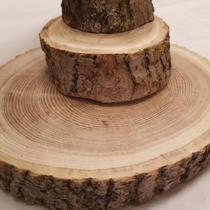 Large Wood Slices, Thick Wood Disks, Wood Slab Centerpiece, Live Edge ...