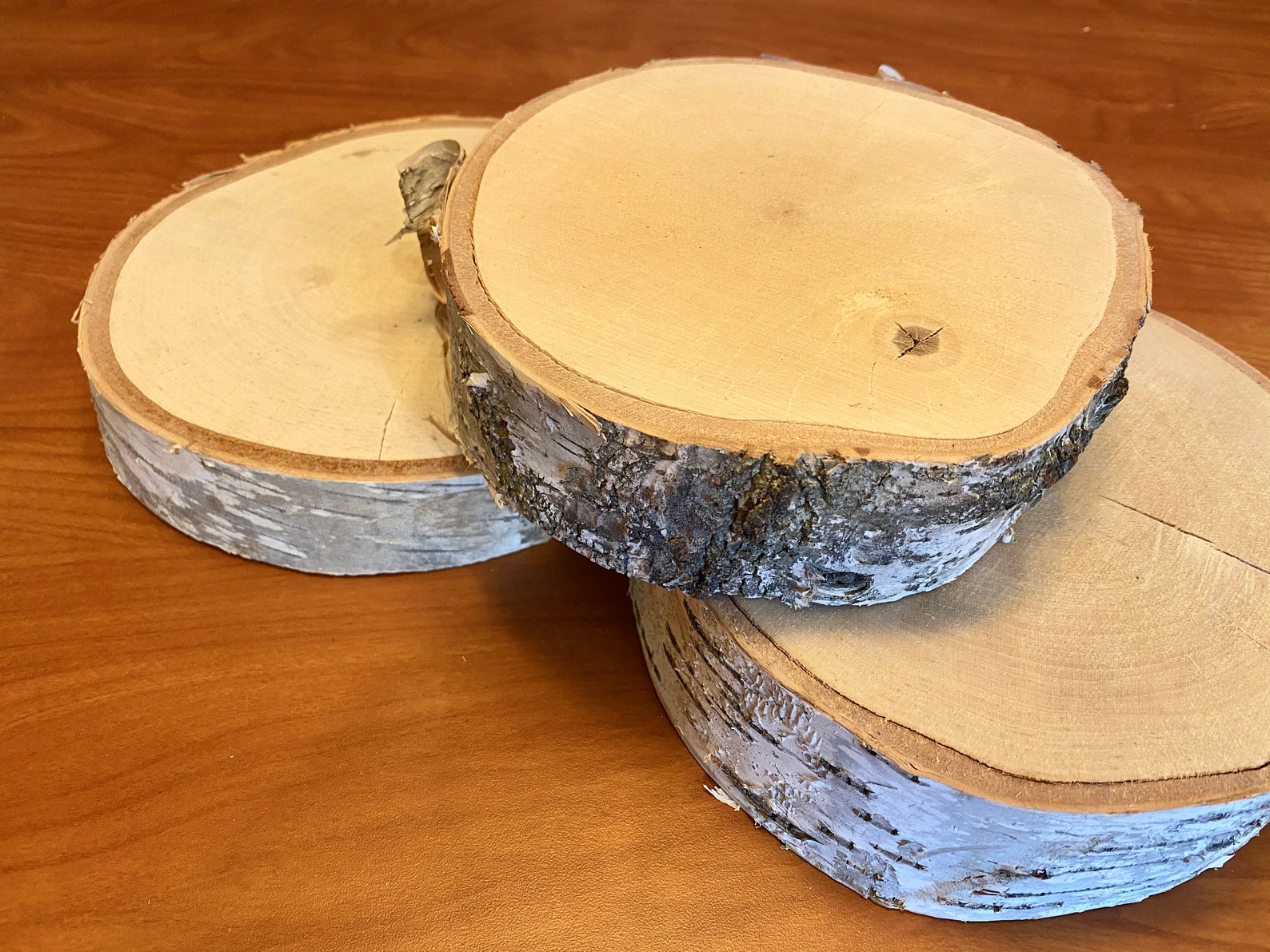 Thick Level White Birch Slabs Dried Birch Tree Disk Tree - Etsy