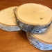 Thick Level White Birch Slabs, Dried Birch Tree Disk, Tree Slices ...