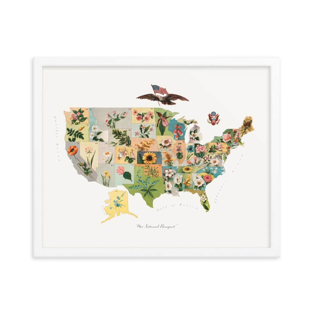 Vintage US Map of State Flowers Framed Fine Art Print • Giclee Fine Art ...