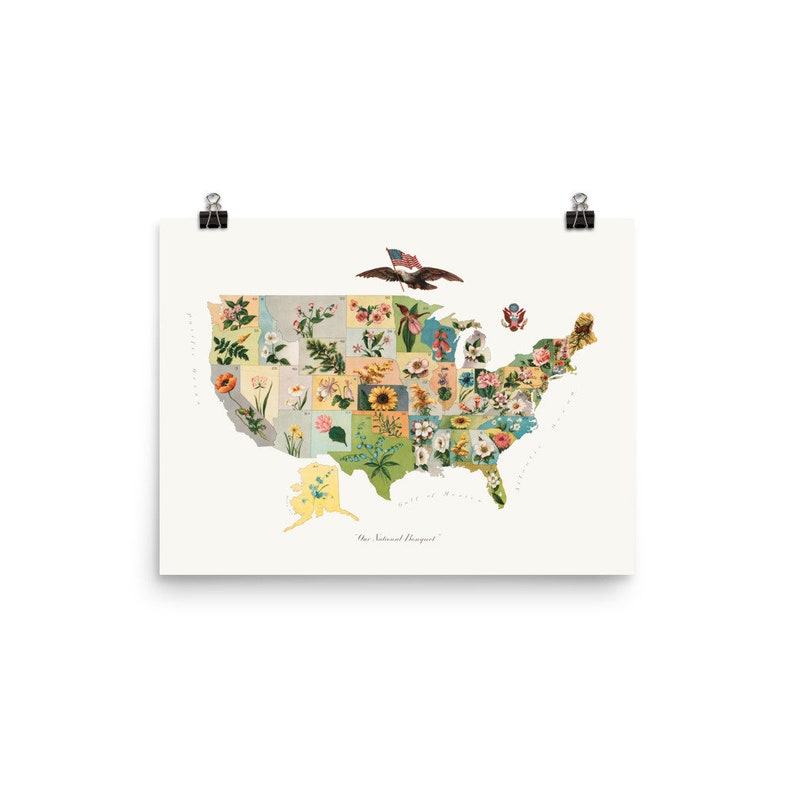 Vintage US Map of State Flowers Fine Art Print • Giclee Fine Art Print ...