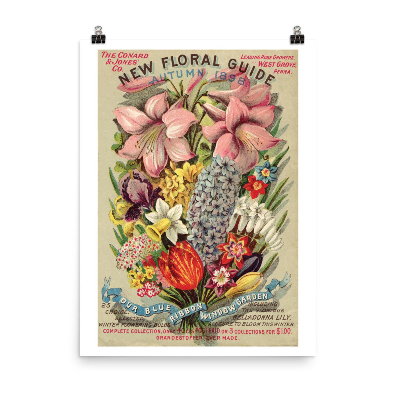 New Floral Guide Seed Catalog Fine Art Print • Giclee Fine Art Print - Etsy