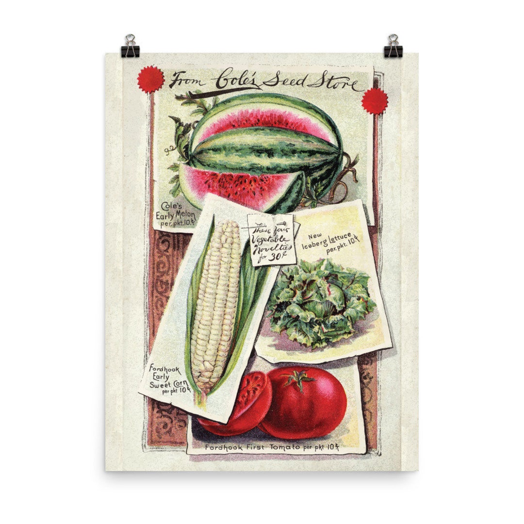Vintage Seed Catalog Advertisement Fine Art Print • Fruits • Vegetables ...