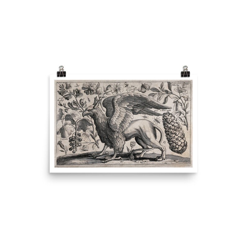 Griffin Fine Art Print • Vintage Griffin Botanical Etching • Mythical ...