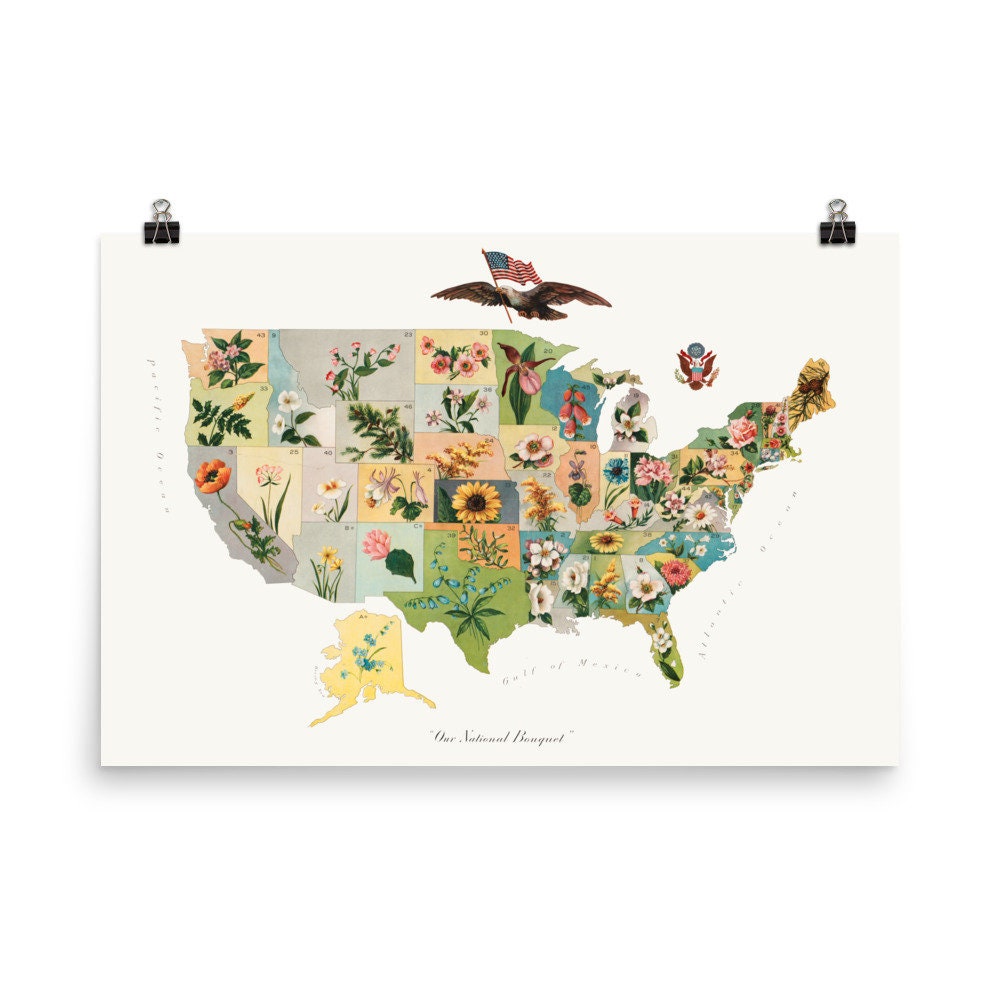 Vintage US Map of State Flowers Fine Art Print Giclee Fine Art Print - Etsy