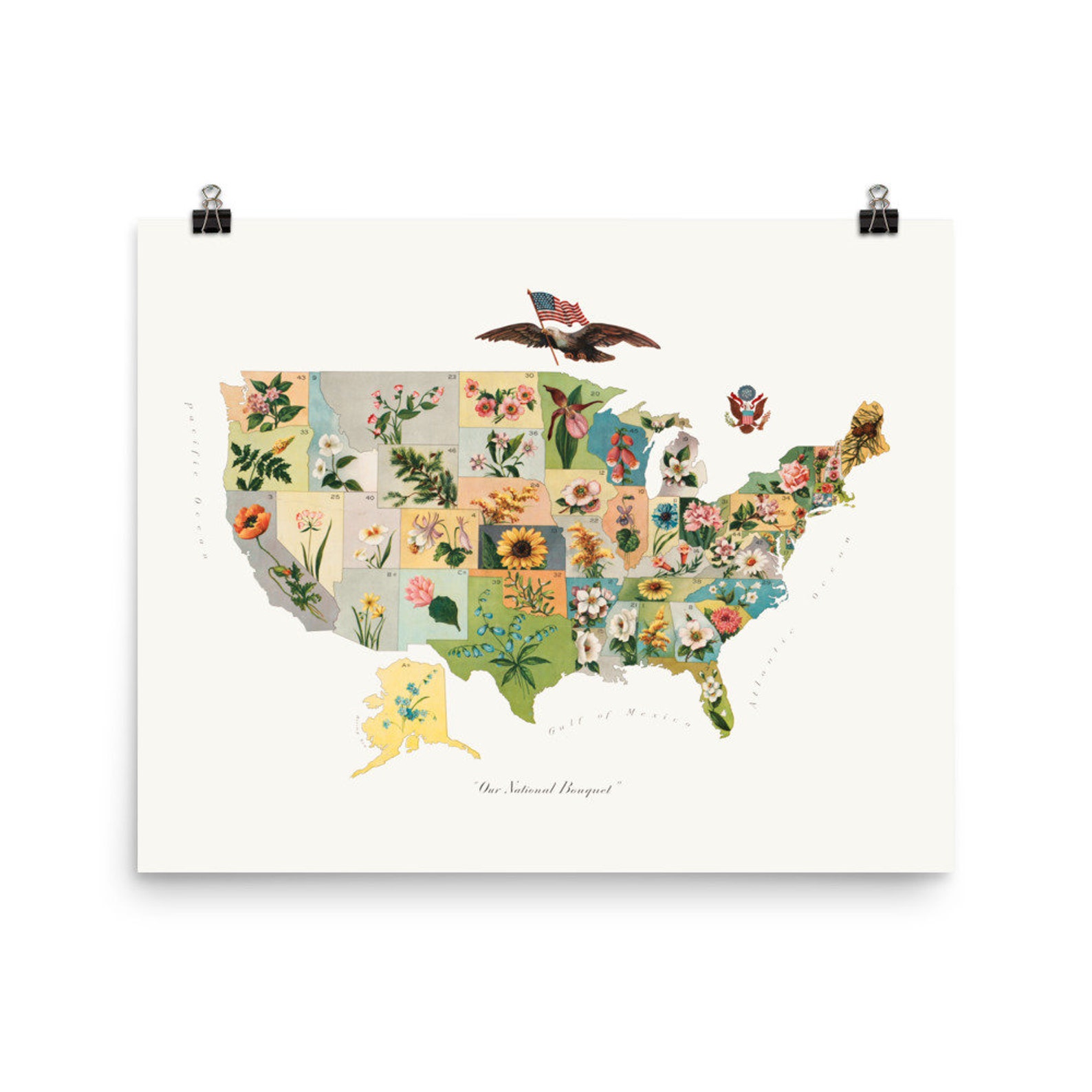 Vintage US Map of State Flowers Fine Art Print • Giclee Fine Art Print ...