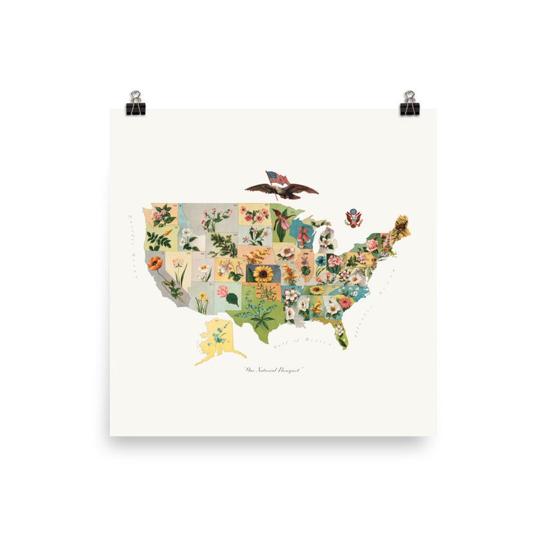 Vintage US Map of State Flowers Fine Art Print • Giclee Fine Art Print ...