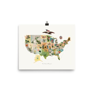 Vintage US Map of State Flowers Fine Art Print • Giclee Fine Art Print ...