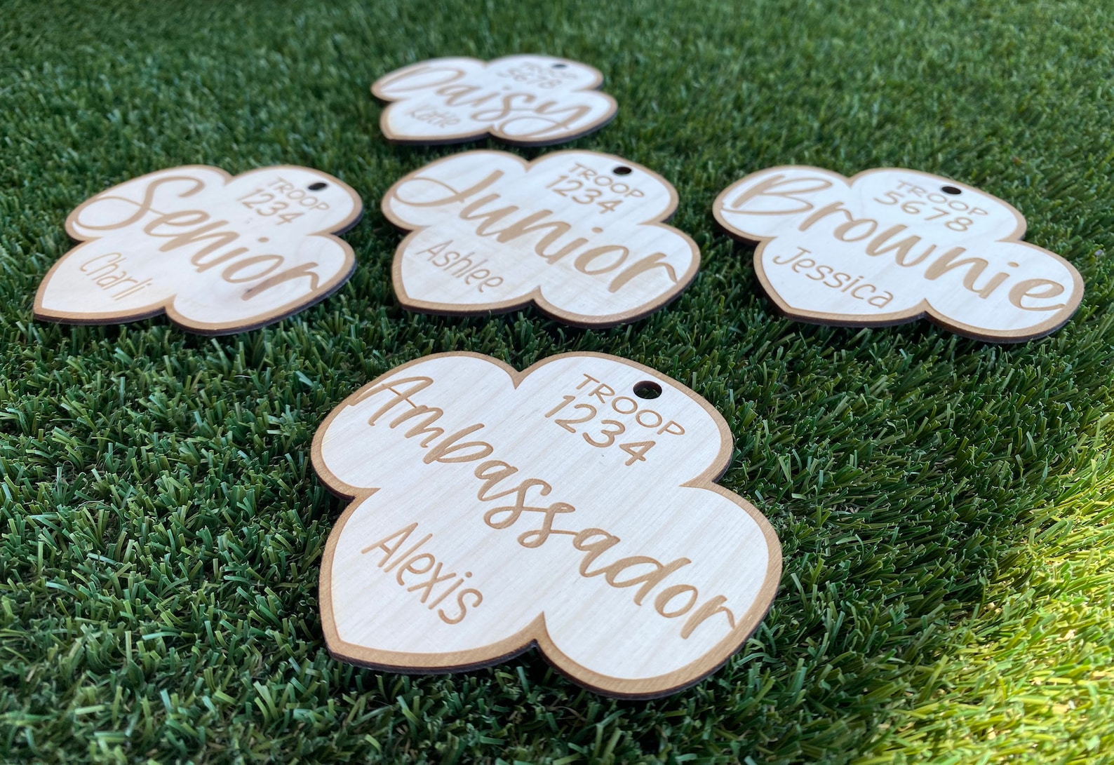 Personalized Troop Signs ~ Girl Scout Level Celebration - Etsy