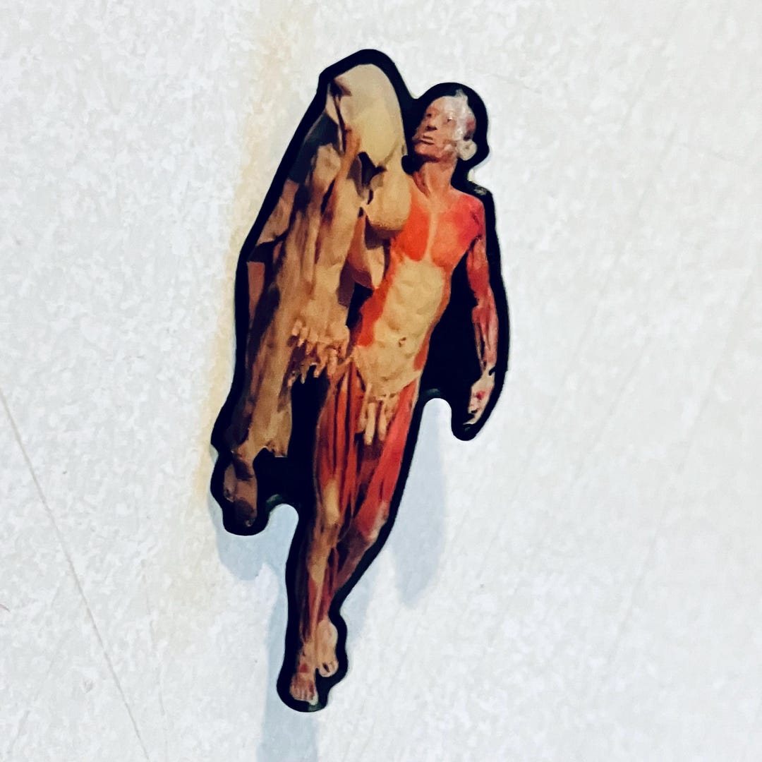 Vintage BODY WORLDS Human Skinned Body Lapel Pin, Enamel Pin, Pinback ...