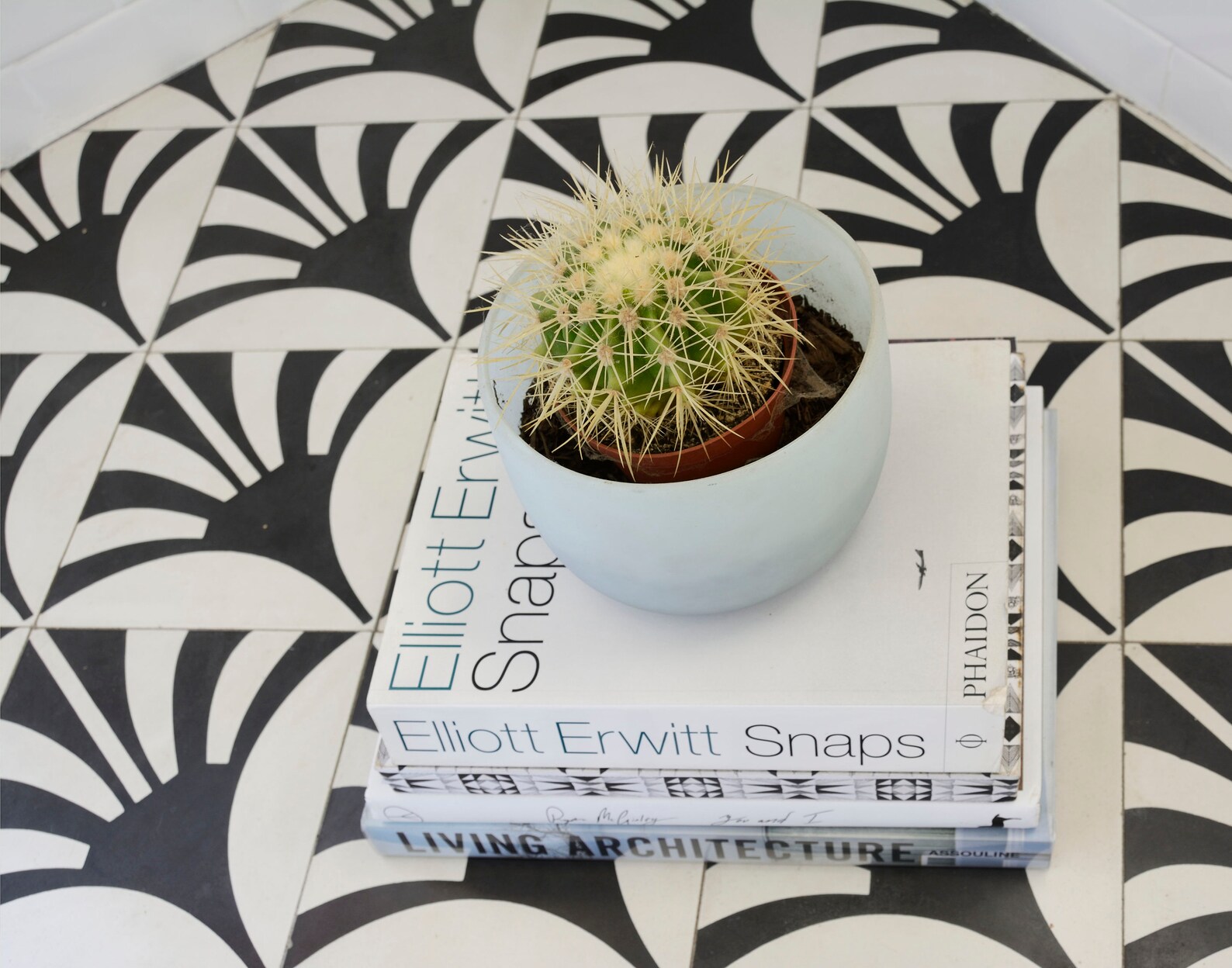 Cement Tile- Sunrise Style // 8 Inch Square Tile Set // 12 Piece Set ...