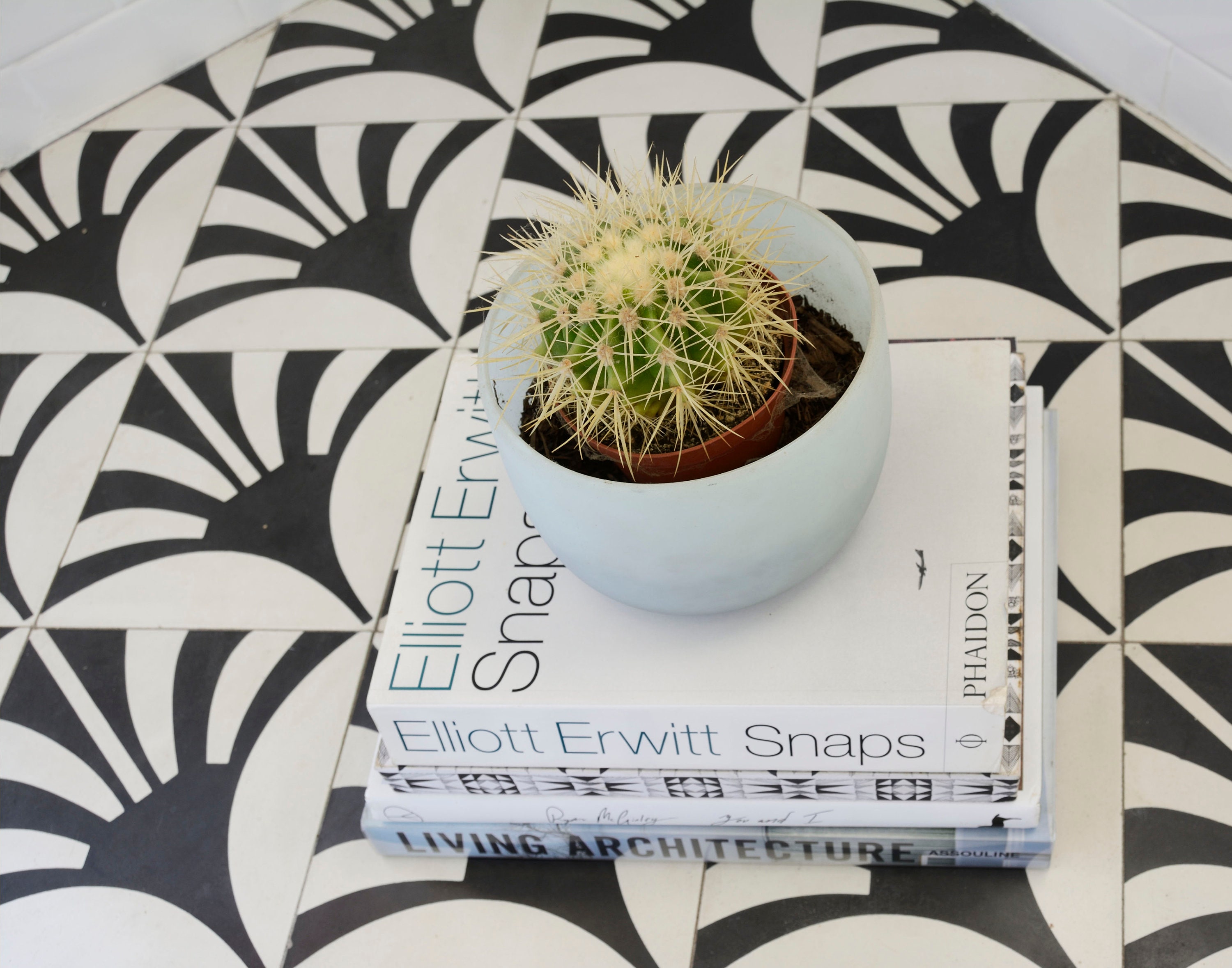 Cement Tile- Sunrise Style // 8 Inch Square Tile Set // 12 Piece Set ...