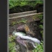 Watkins Glen Stone Arch Bridge Photo Print, Watkins Glen NY State Park ...