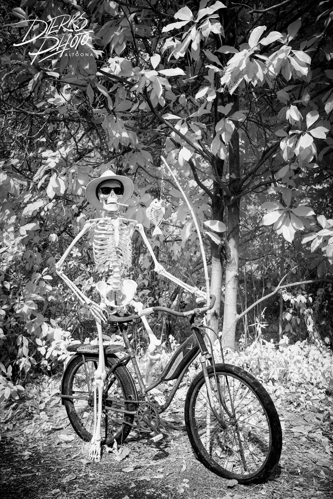 Skeleton Fisherman Riding Bicycle Photo, Skeleton on Bike, Halloween ...