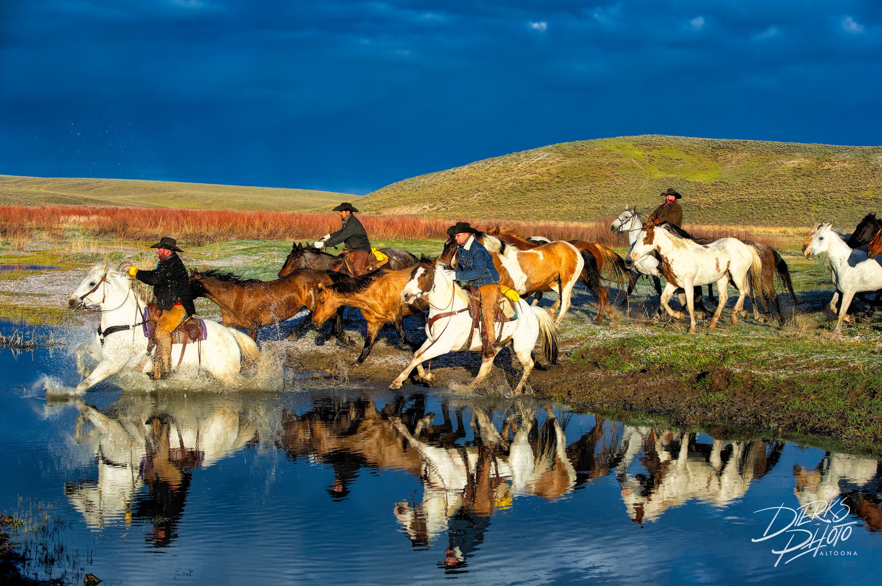 Cowboys at Work Herding Horses Photo, Western Horse Herding Photo ...