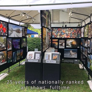 Skeleton Burying Money Photo, Skeleton Banking, Halloween Skeleton ...