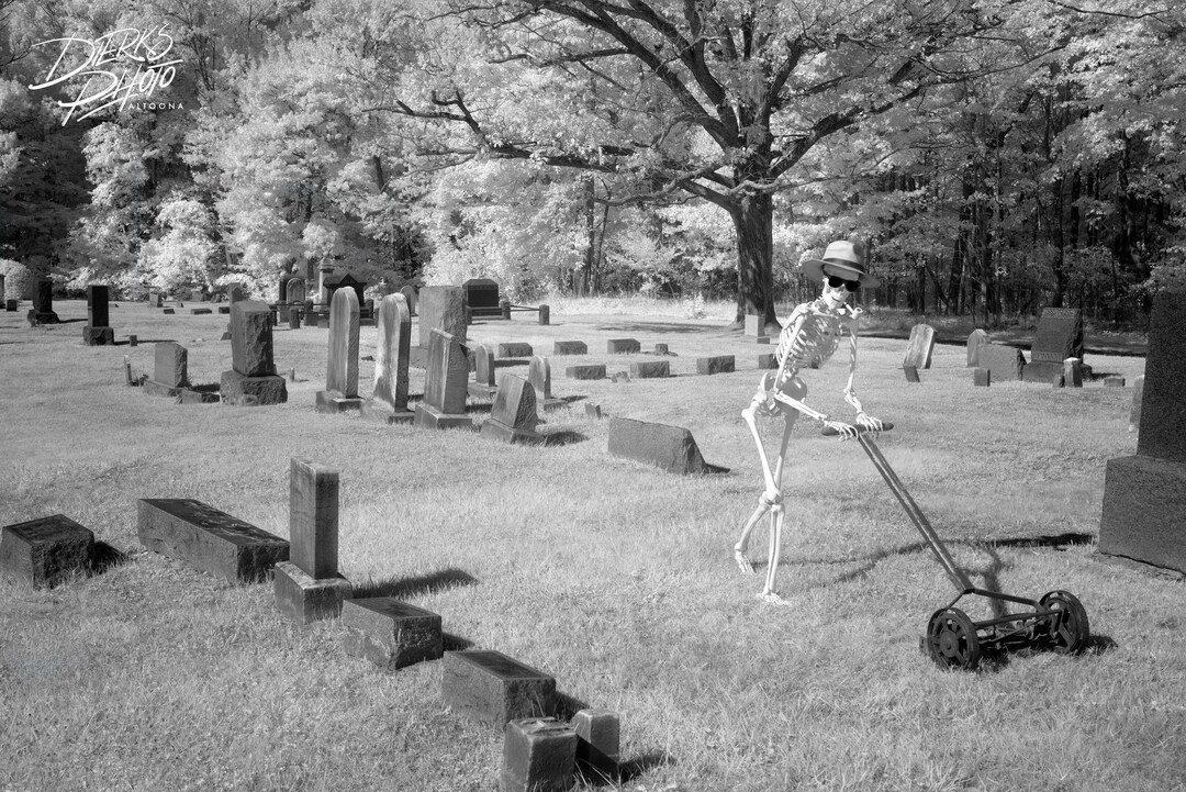 Skeleton Cutting Cemetery Grass Photo, Halloween Skeleton Spook Photo ...