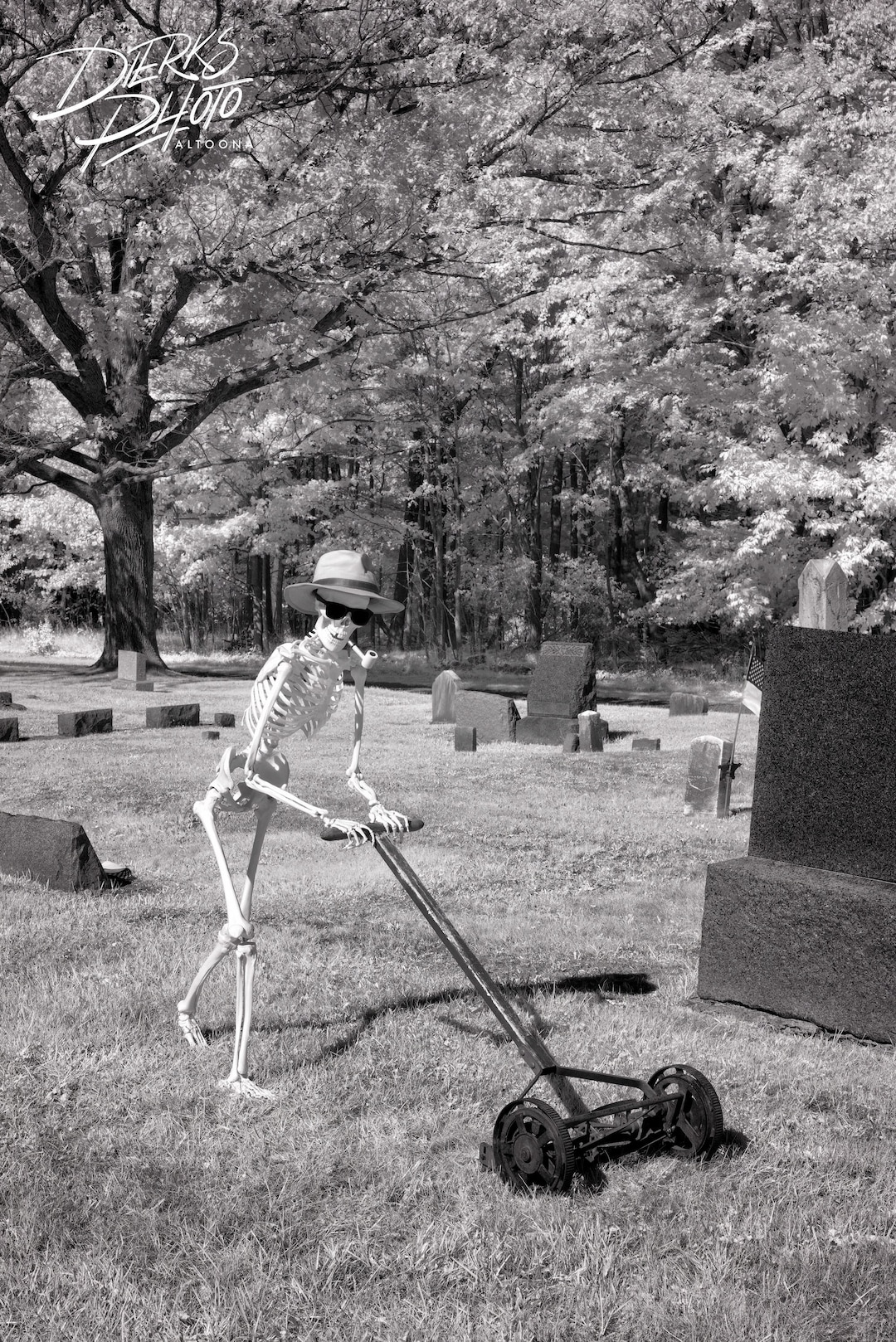 Skeleton Cutting Haunted Cemetery Grass Photo, Halloween Skeleton Spook ...