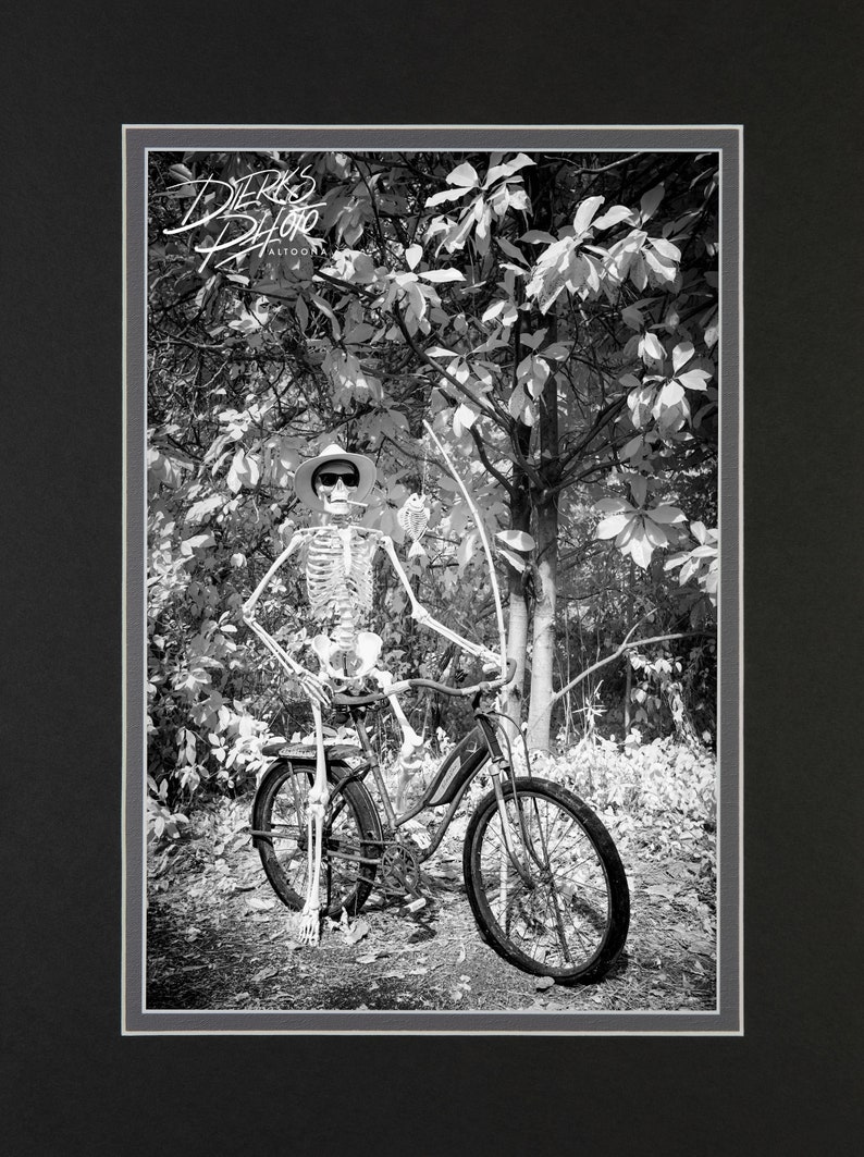 Skeleton Fisherman Riding Bicycle Photo, Skeleton on Bike, Halloween ...